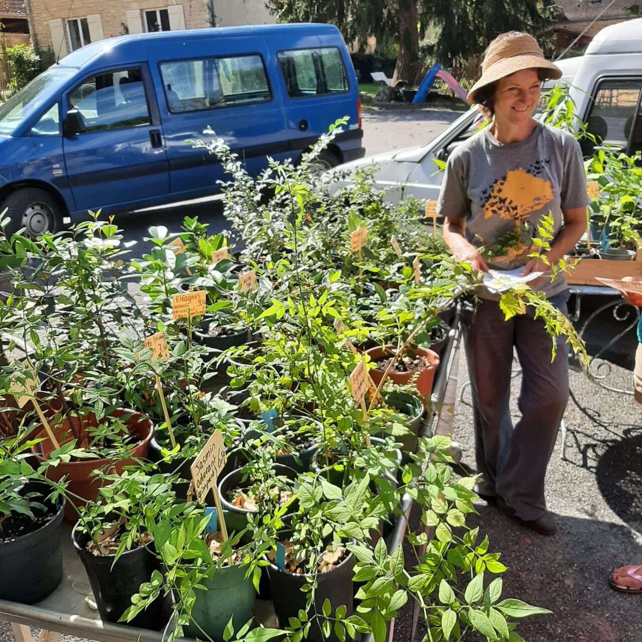 Arrivages des Jardins Capucines - La Ferme de Vialard