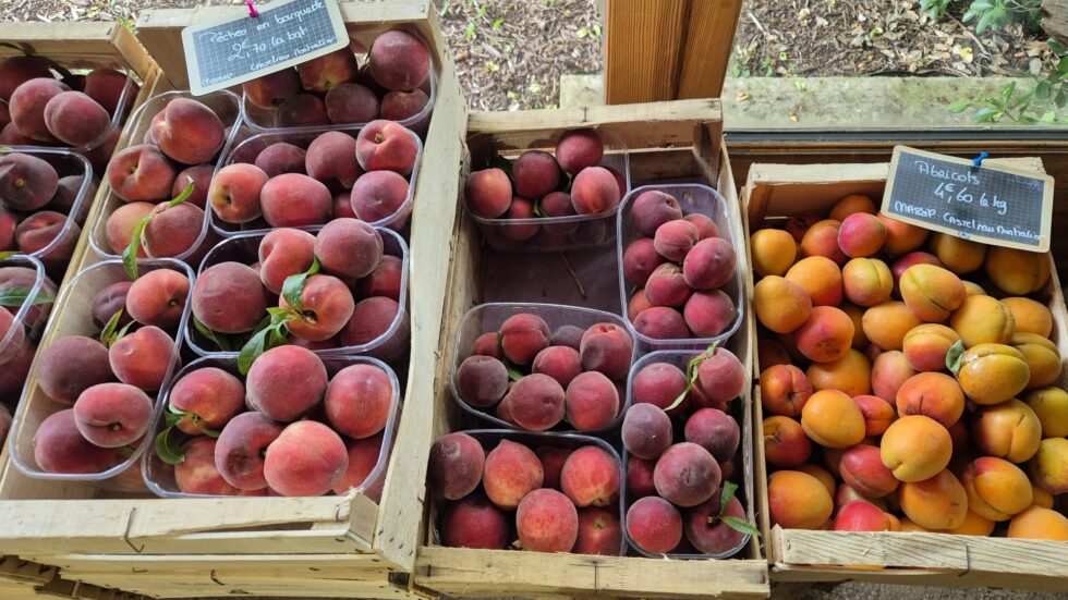 Pêches et abricots - La Ferme de Vialard